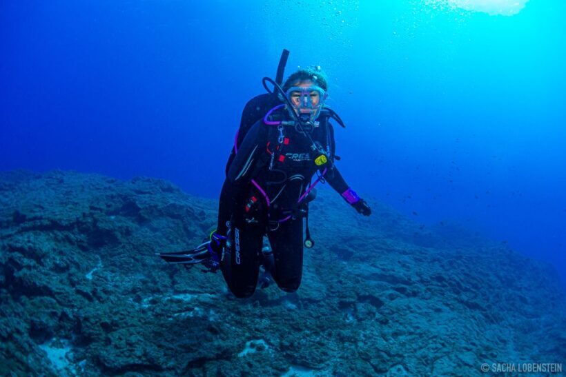 Santa Cruz de Tenerife: Advanced introductory course - Who Will Benefit Most?