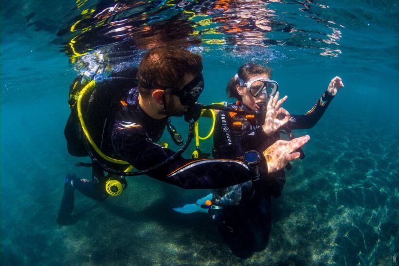 Santa Cruz de Tenerife: Beginner's Diving & Introduction - An Overview of the Experience