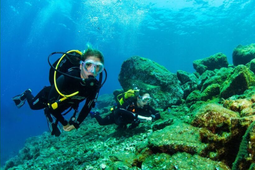Santa Cruz de Tenerife: Beginner's Diving & Introduction - The Itinerary: Step-by-Step Breakdown