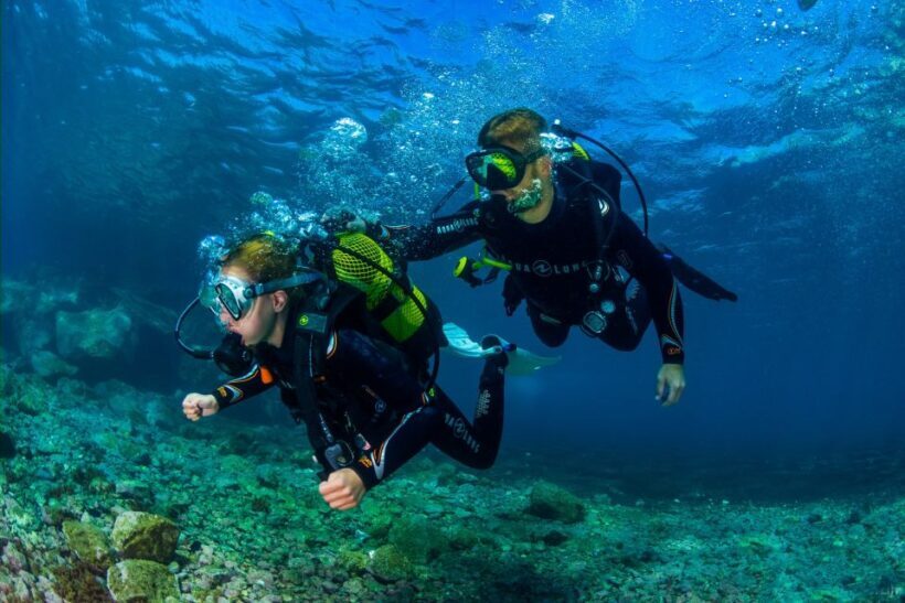 Santa Cruz de Tenerife: Beginner's Diving & Introduction - Meeting Points and Logistics