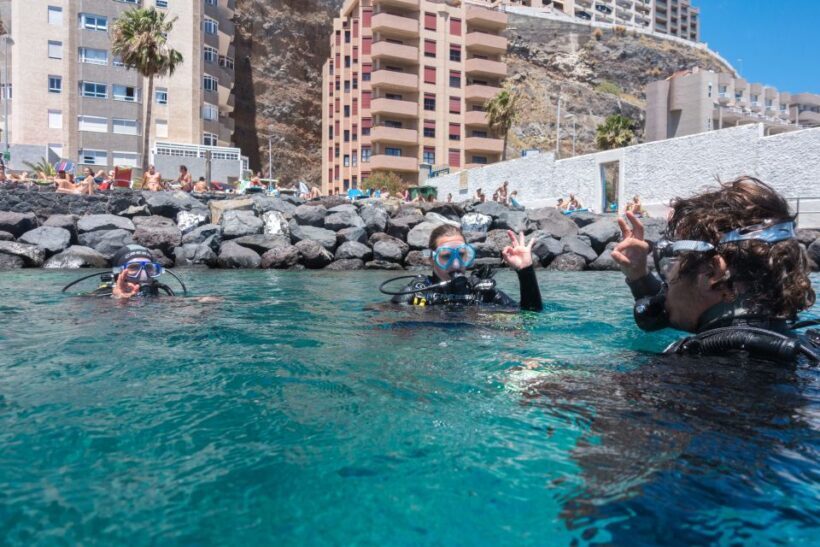 Santa Cruz de Tenerife: PADI Introductory Dive - Key Points