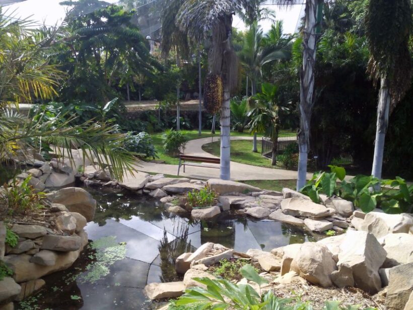 Santa Cruz de Tenerife Palmetum Entry Ticket - The Sum Up: Is It Worth Visiting?