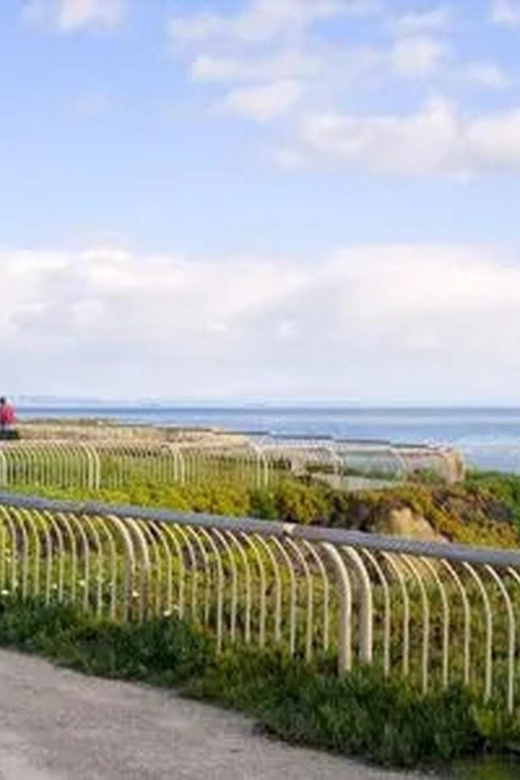 Santa Cruz: Guided eBike Tour - Key Points: