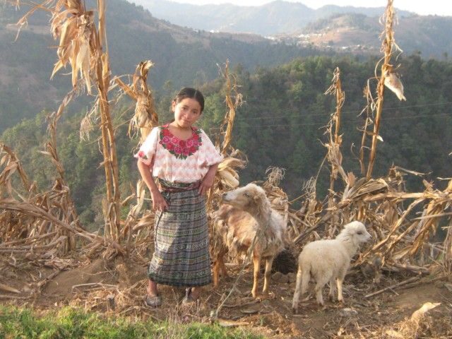 Santa Cruz La Laguna: 6-Hour Solola Hike & Market Visit - Authentic Experiences and What Travelers Say