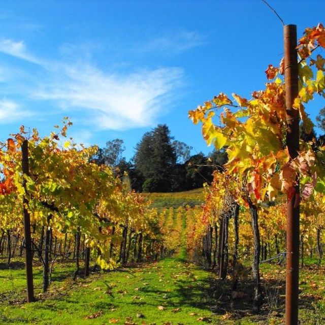 Santa Cruz: Private Custom Wine Tour with Hotel Pickup - Key Points