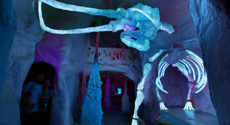 Santa Fe: Meow Wolf The House of Eternal Return Ticket - Key Points