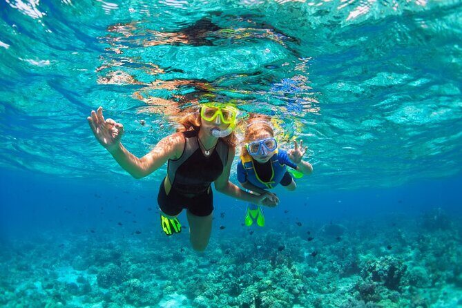 Santa Maria and Chileno Bay Snorkel Adventure Los Cabos - A Closer Look at the Snorkel Adventure