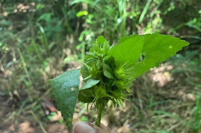 Santa Maria Beach Hike - Who Will Love This Tour?