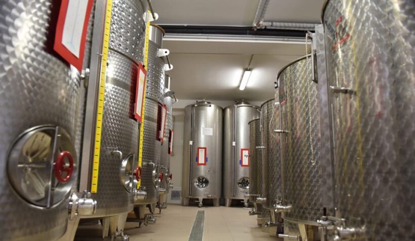 Santa Maria Imbaro: La Vinarte Wine tour - An Authentic Dive into Abruzzo’s Wine Culture