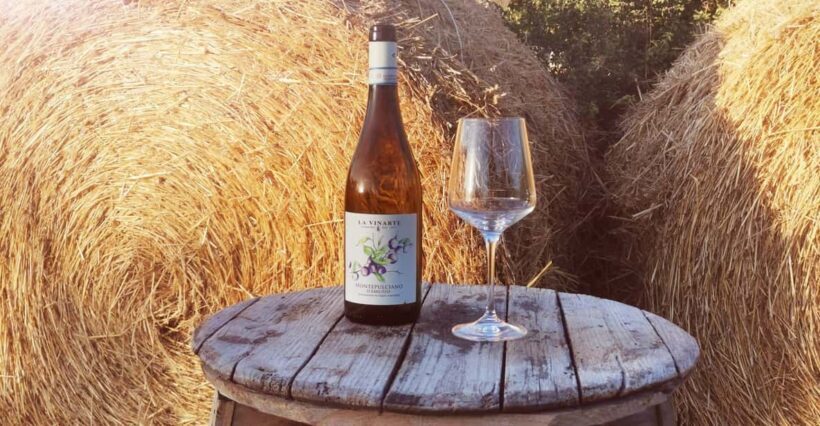 Santa Maria Imbaro: La Vinarte Wine tour - Exploring the Cellar and Learning the Process