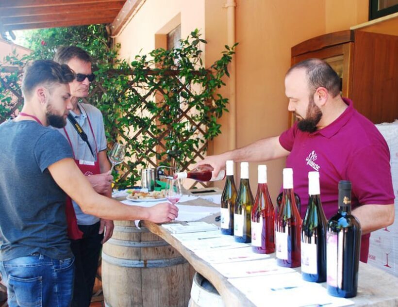 Santa Maria Imbaro: La Vinarte Wine tour - Value for Money