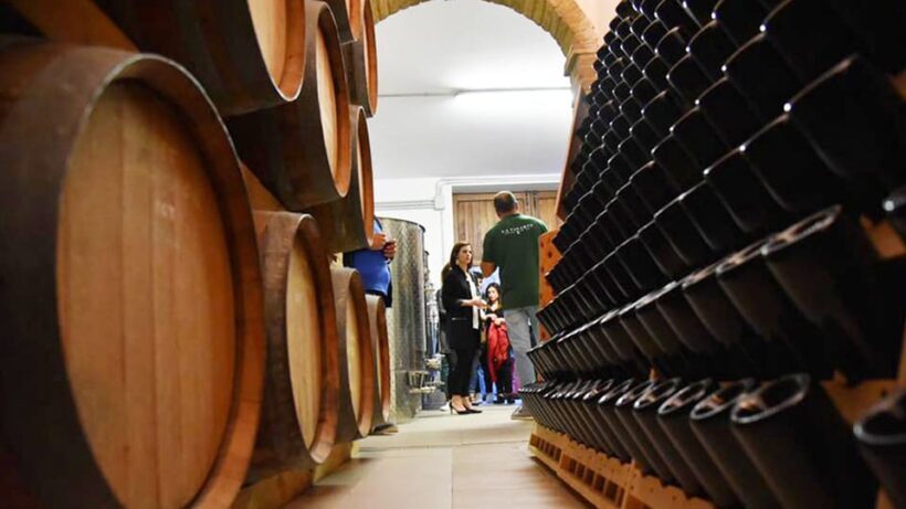 Santa Maria Imbaro: La Vinarte Wine tour - Final Thoughts