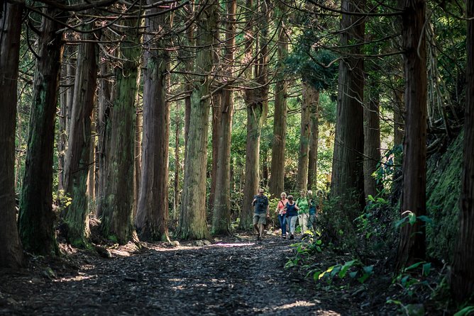 Santa Maria - Walking Tour Guide - Exploring the Itinerary