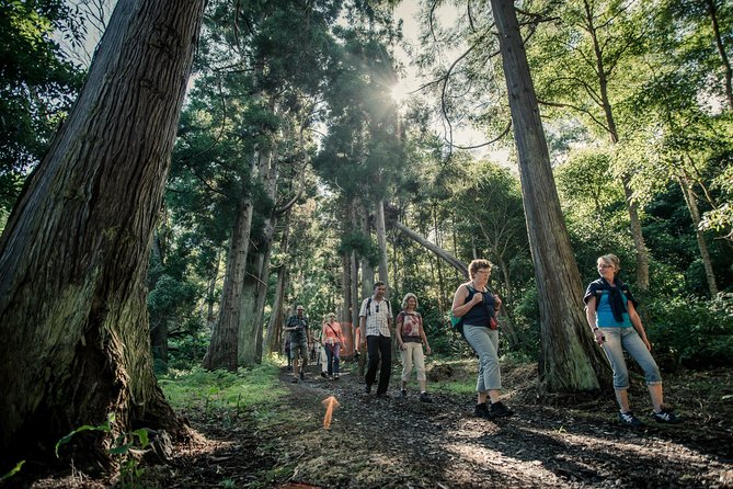 Santa Maria - Walking Tour Guide - The Sum Up