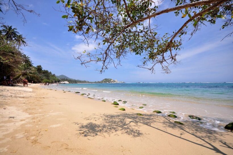 Santa Marta: Cape San Juan del Guía Tour in Tayrona Park - Key Points