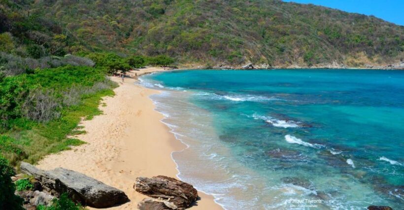 Santa Marta: Cristal Beach Day-Trip - An In-Depth Look at the Tour Experience