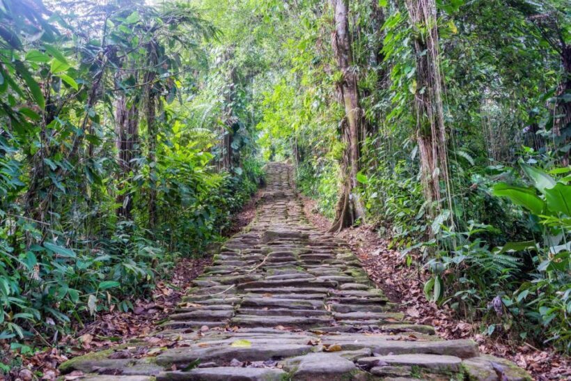 Santa Marta: Multi-Day Trek to The Lost City - Key Points