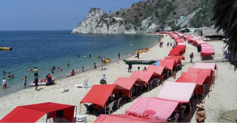 Santa Marta: Museum of the Sea and Playa Blanca Beach Tour - A Close Look at the Tour Experience