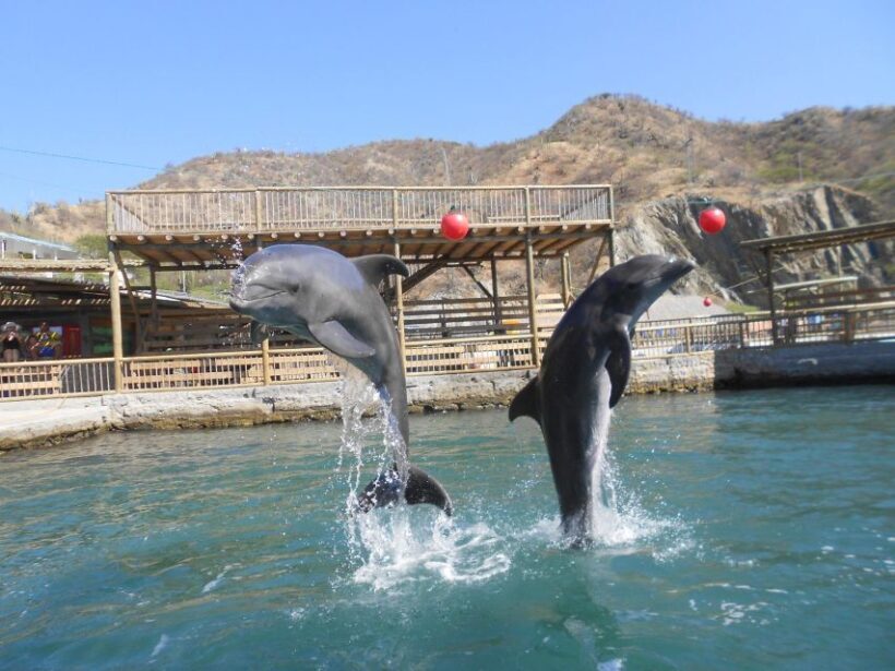 Santa Marta: Museum of the Sea and Playa Blanca Beach Tour - FAQ