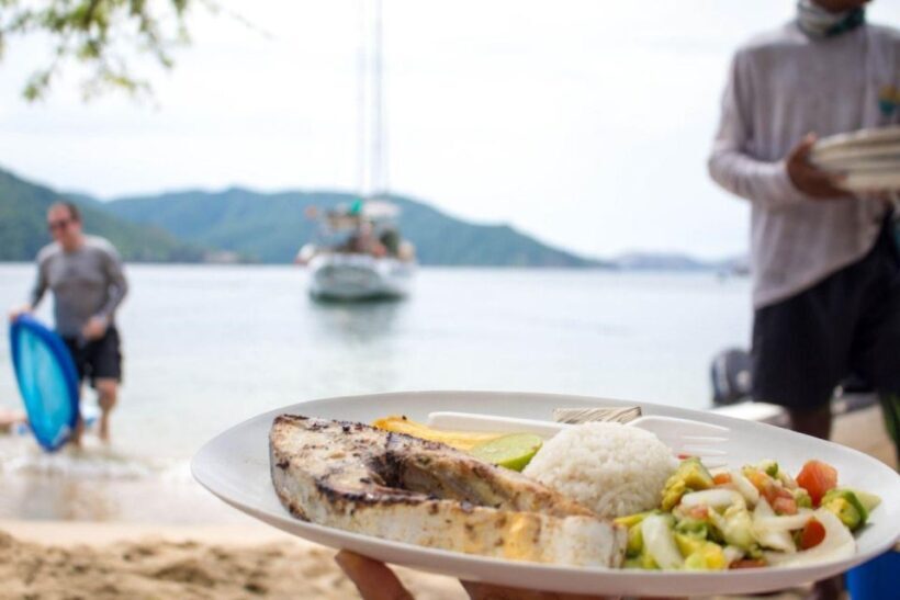 Santa Marta: Sailboat day tour to Tayrona Park - Introduction: Why This Sailboat Tour Stands Out