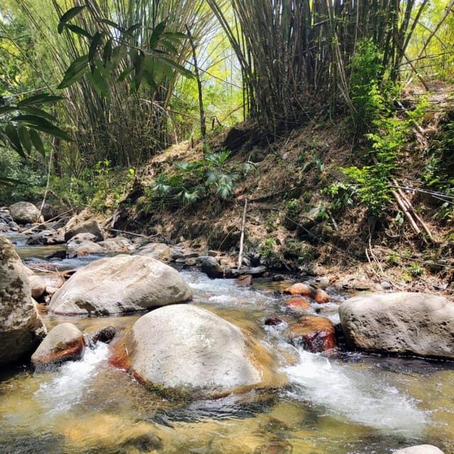 Santa Marta: Trekking in Minca Complete Waterfall Circuit - Cultural and Environmental Highlights
