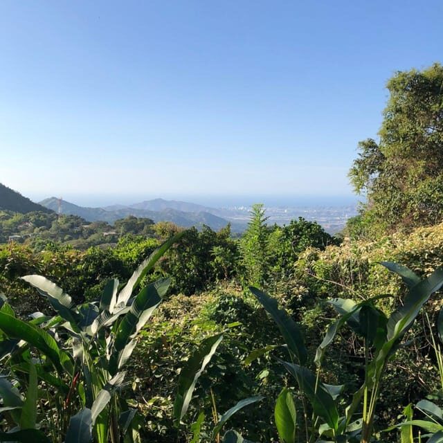 Santa Marta: Trekking in Minca Complete Waterfall Circuit - Who Will Love This Tour?