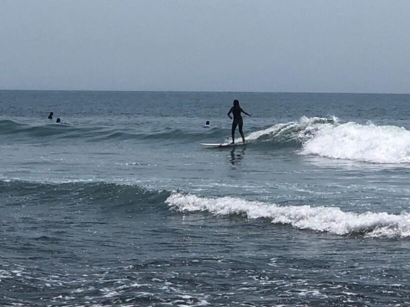 Santa Monica: Surfing Day Trip with Lunch - Key Points