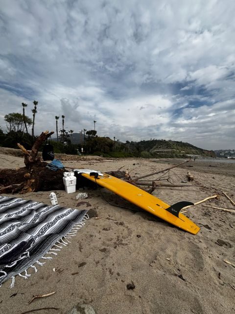 Santa Monica: Surfing Day Trip with Lunch - The Surf Experience