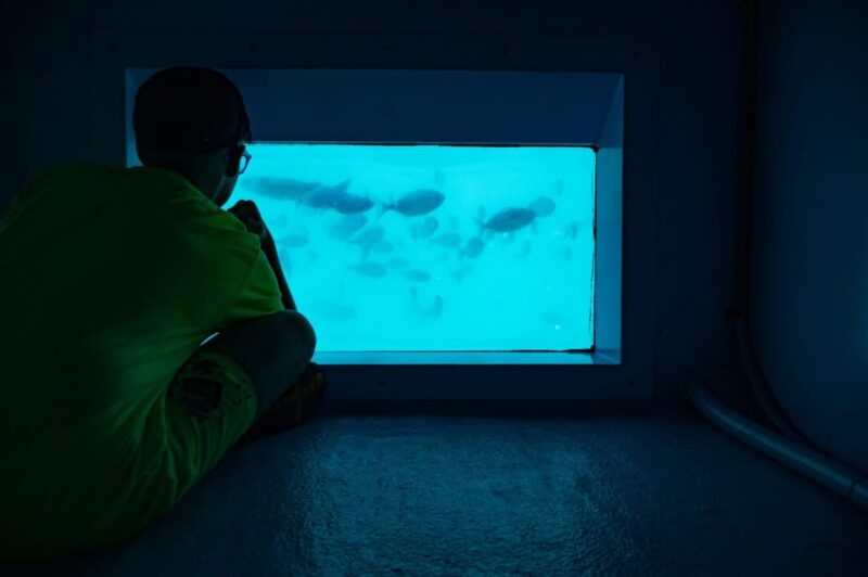 Santa Pola: Tabarca Catamaran Cruise with Underwater Vision - The Value of This Tour