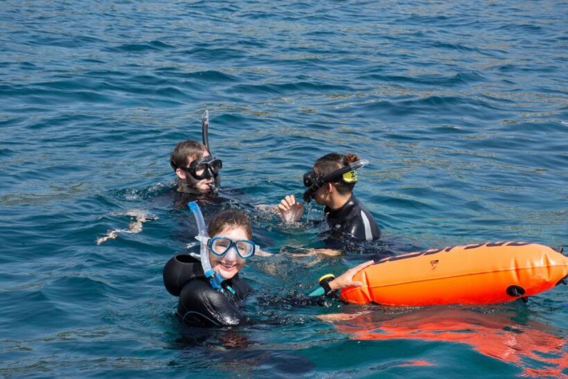 Santa Ponsa: Snorkeling Tour in a Marine Reserve - The Sum Up
