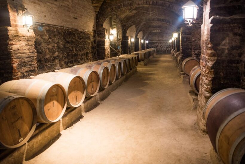 Santa Rita: Tour + Premium Wine Tasting + Private Transport - Final Thoughts