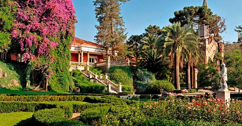 Santa Rita Vineyard Tour with Lunch, an Unforgettable Day! - A Detailed Look at the Santa Rita Vineyard Experience