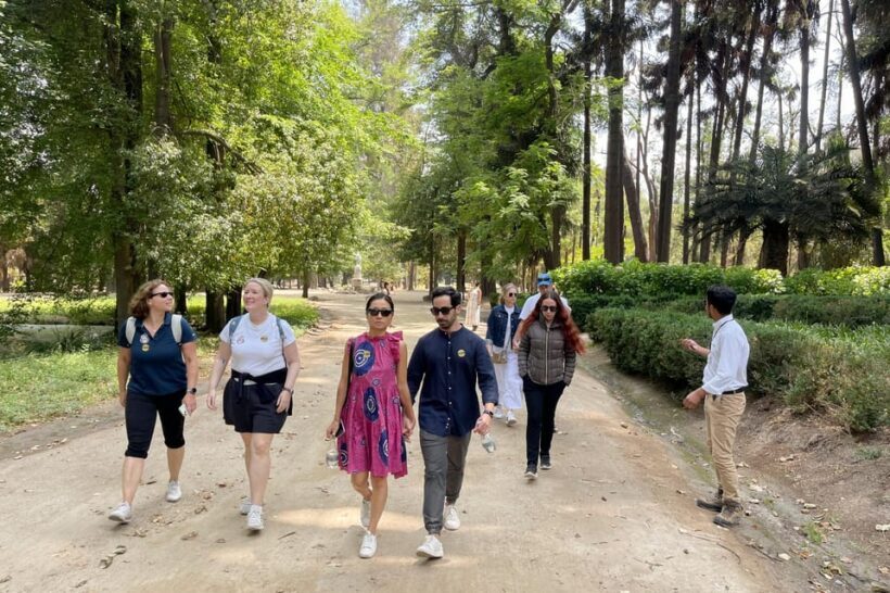 Santa Rita Vineyard Tour with Lunch, an Unforgettable Day! - Who Is This Tour Best For?