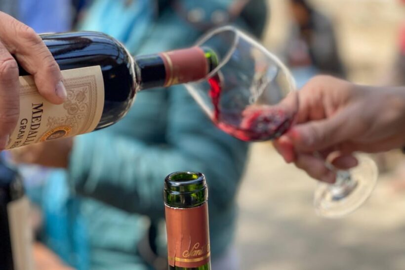 Santa Rita Vineyard Tour with Lunch, an Unforgettable Day! - FAQ