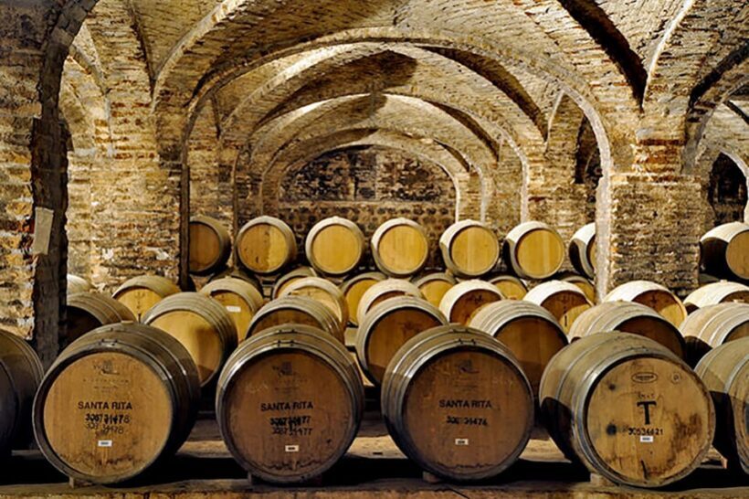 Santa Rita Vineyard Tour with Lunch, an Unforgettable Day! - Final Thoughts