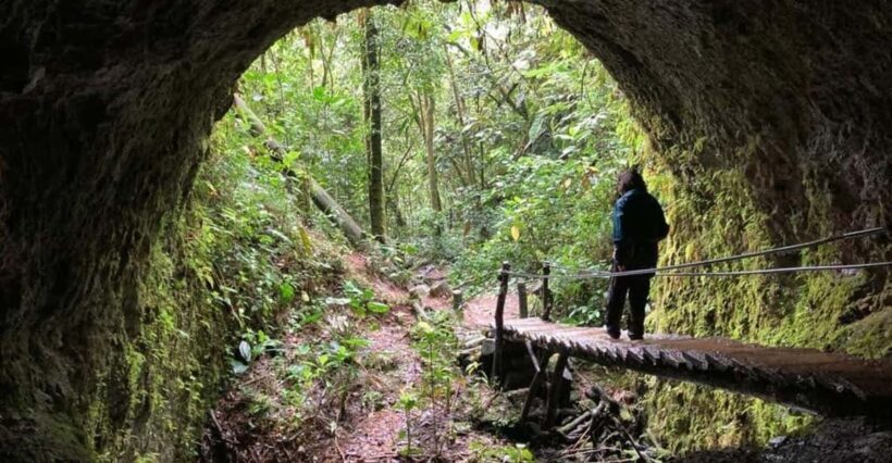 Santa Rita Waterfall and Salento Private Tour - Key Points