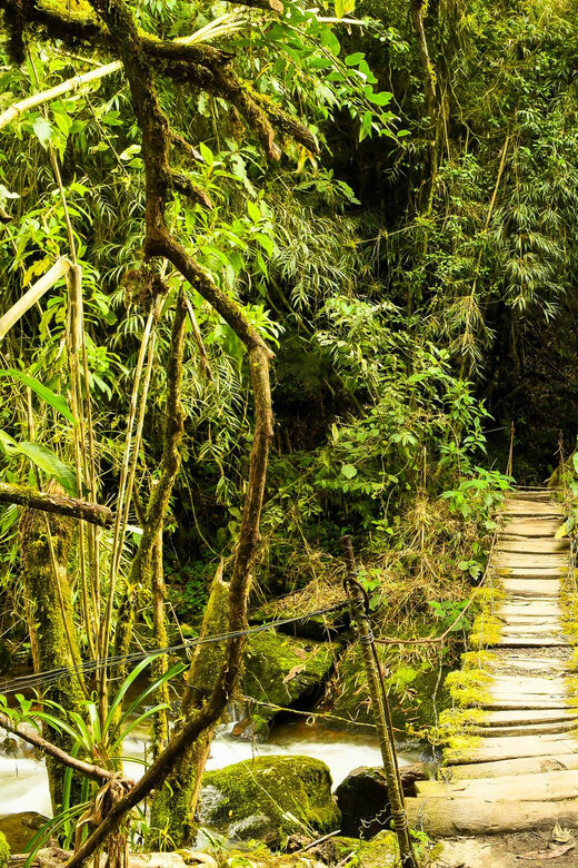 Santa Rita Waterfall and Salento Private Tour - FAQ