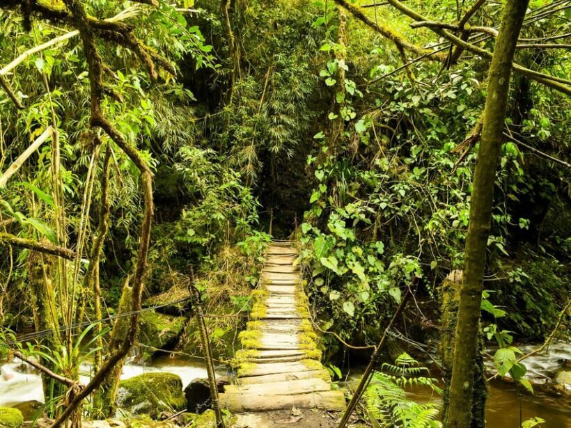 Santa Rita Waterfall and Salento Private Tour - Final Thoughts