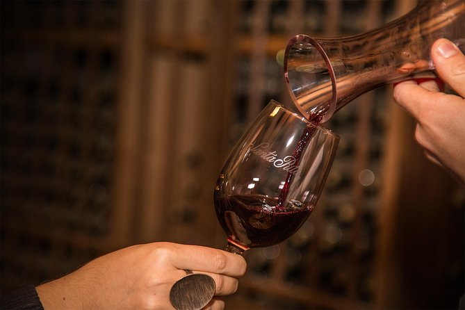 Santa Rita Winery Selection Tour - Exploring the Historic Vineyards