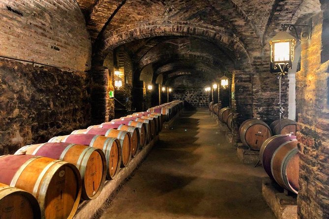 Santa Rita Winery Selection Tour - Tour Accessibility and Requirements