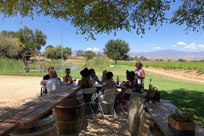 Santa Ynez Valley Private Wine Tours from Santa Barbara - A Deep Dive into the Experience