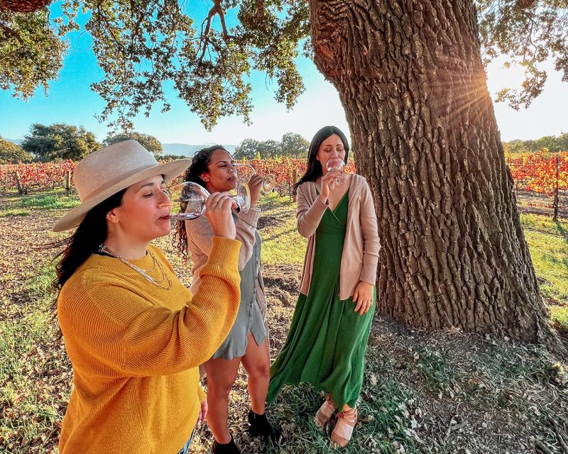 Santa Ynez: Wine Country Tour - The Value of the Santa Ynez Wine Tour