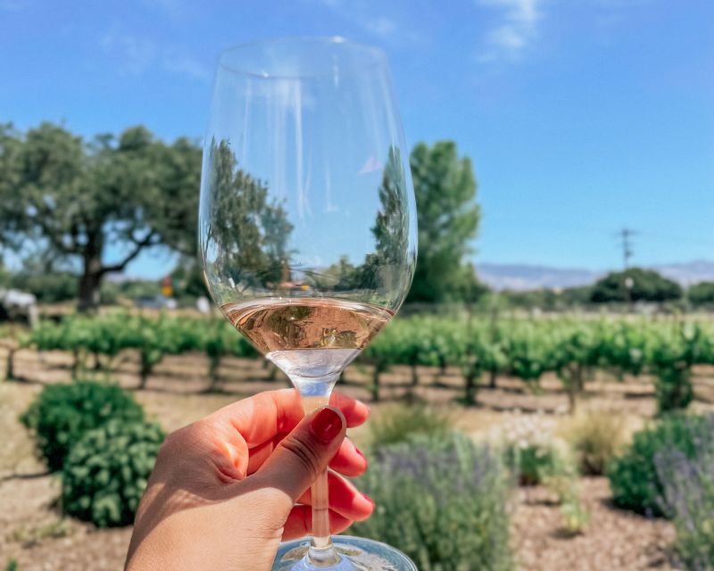 Santa Ynez: Wine Country Tour - Final Thoughts: Is It Worth It?