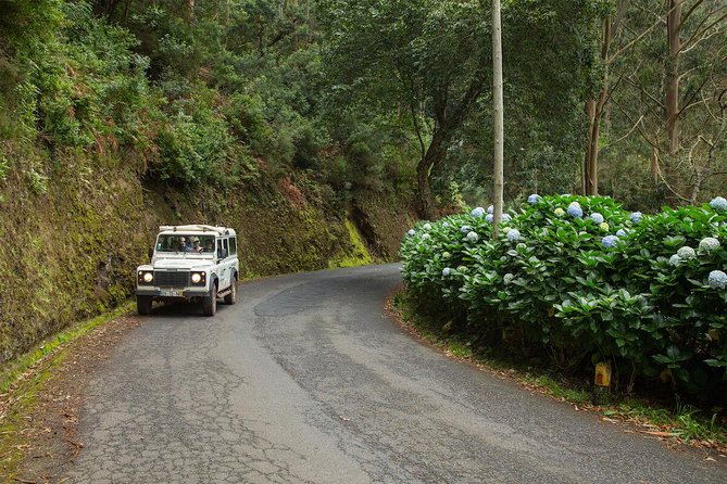 SANTANA Combo Expedition (Jeep Tour & Levada Walk) - EVERYDAY - Nature Exploration