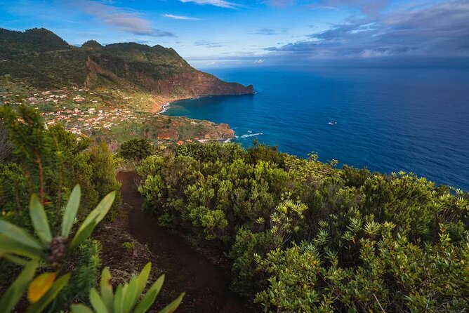 Santana / Typical Houses Tour - Tour Provider