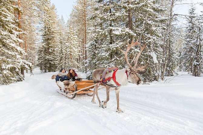 Santas Reindeer & Husky Safari + Santas Pets + Aurora Hunt! - Special Offer