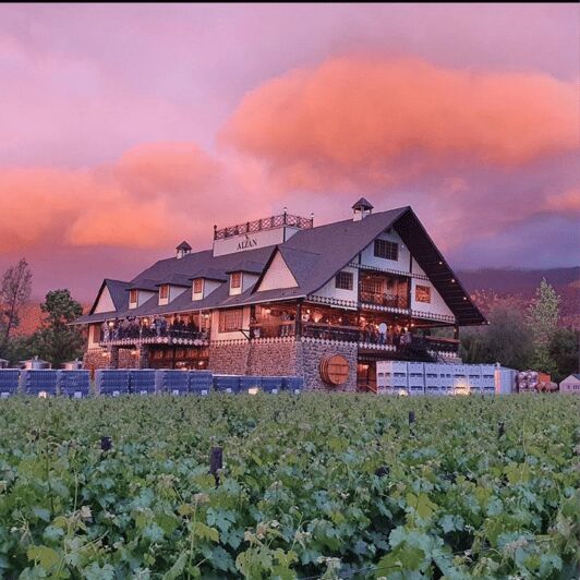 Santiago: Alyan Winery Sunset with Wine Tastings and Dinner - The Itinerary Breakdown