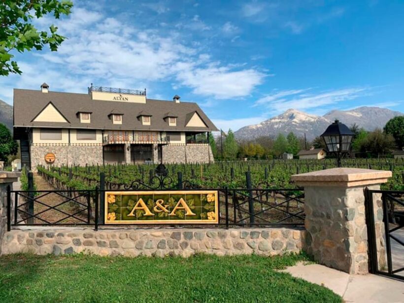 Santiago: Alyan Winery Sunset with Wine Tastings and Dinner - The Experience and Atmosphere