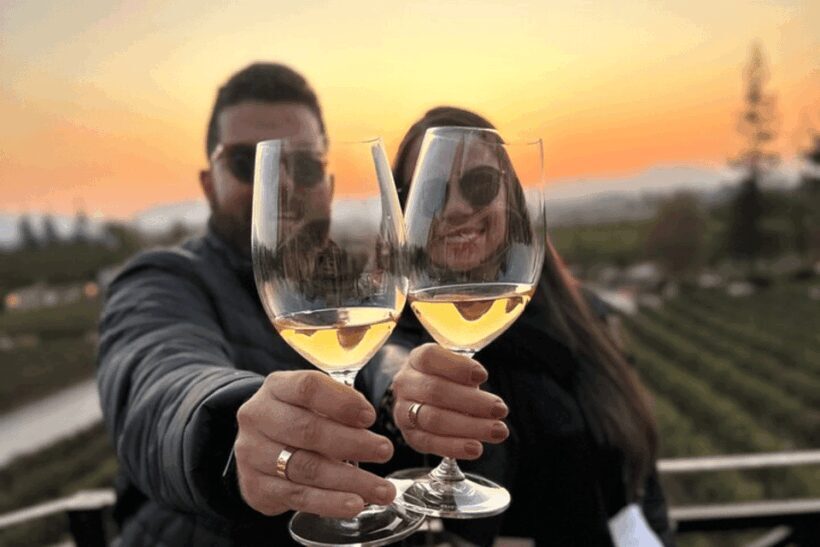 Santiago: Alyan Winery Sunset with Wine Tastings and Dinner - Who Should Consider This Tour?