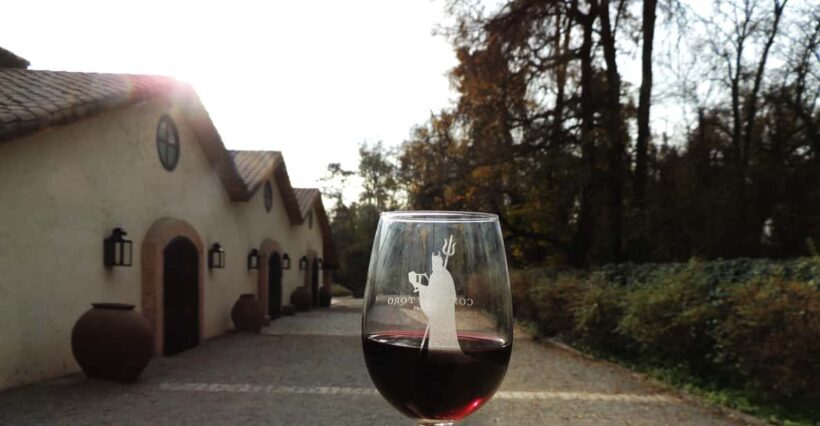 Santiago: Concha y Toro and Undurraga Vineyards Tour - Key Points